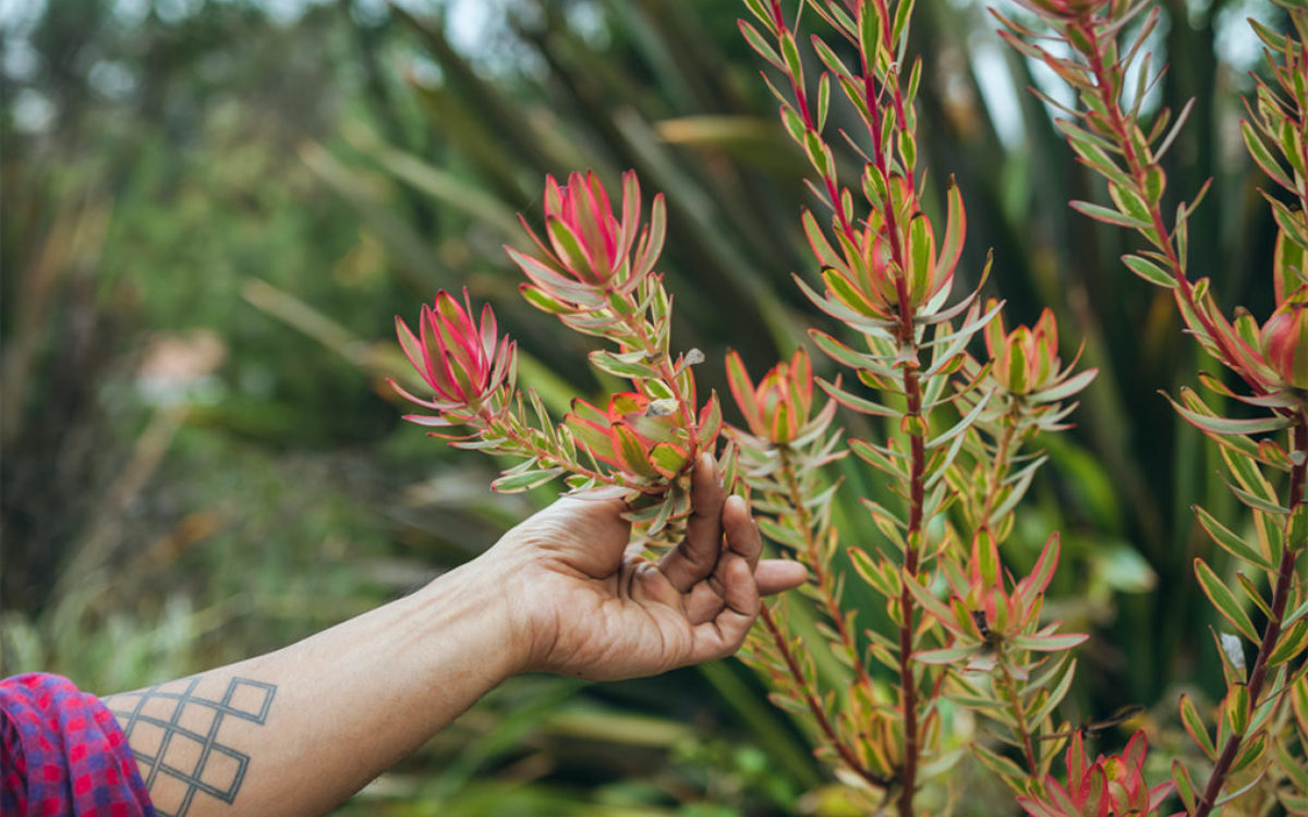 Happy Earth on Sustainable Gardens | Neighbor2Neighbor
