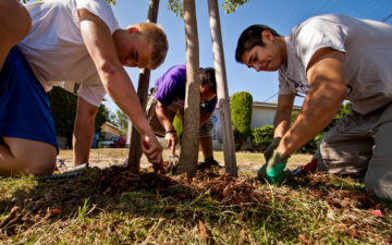 Tree Planting Nonprofit, LA | TreePeople | Neighbor2Neighbor