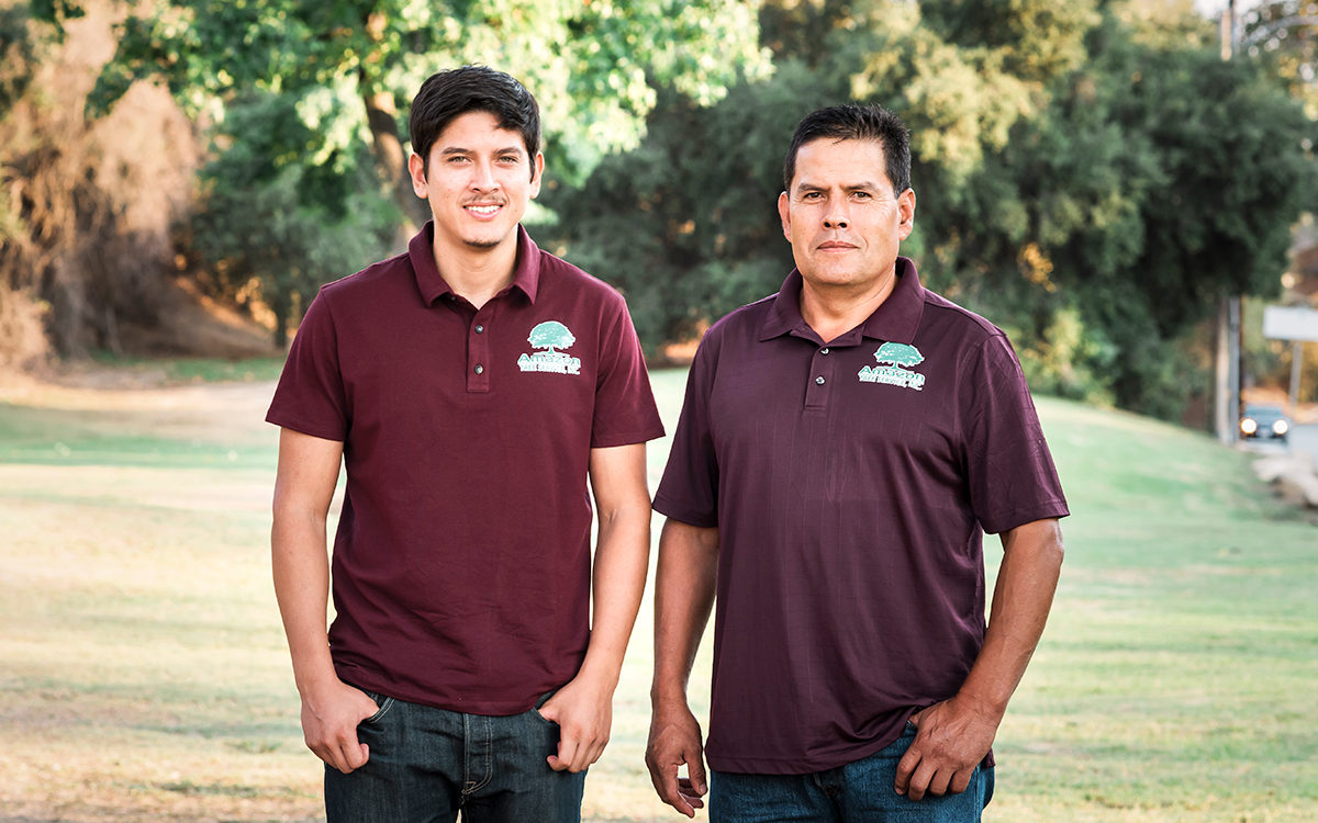 Best Arborist & Landscaping, Pasadena & LA |… | Neighbor2Neighbor